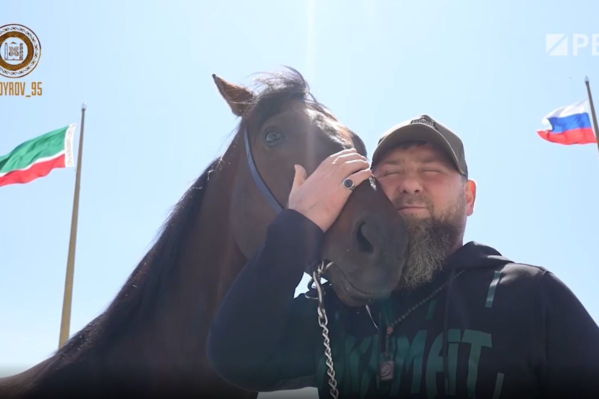 Zazou, le cheval de Kadyrov : un révélateur politique – Le blog de ...